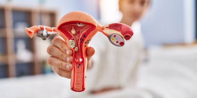 IVF After Tubal Ligation Cost, Success Rates & Process