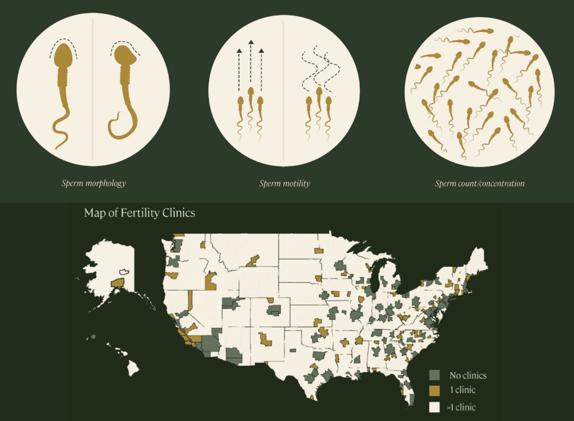 Everything You Need to Know About At-Home Male Fertility Testing
