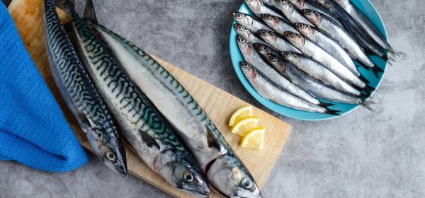 TTC Superfoods | Gyna | What Fish are Good For Fertility?